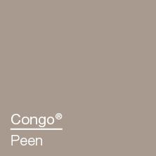 Congo – East Rand Boards